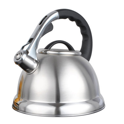 Stainless Steel Tea Kettles You'll Love in 2019 | Wayfair