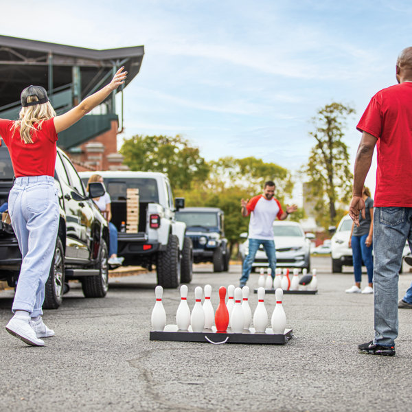 Fowling Portable Game Set & Reviews | Wayfair