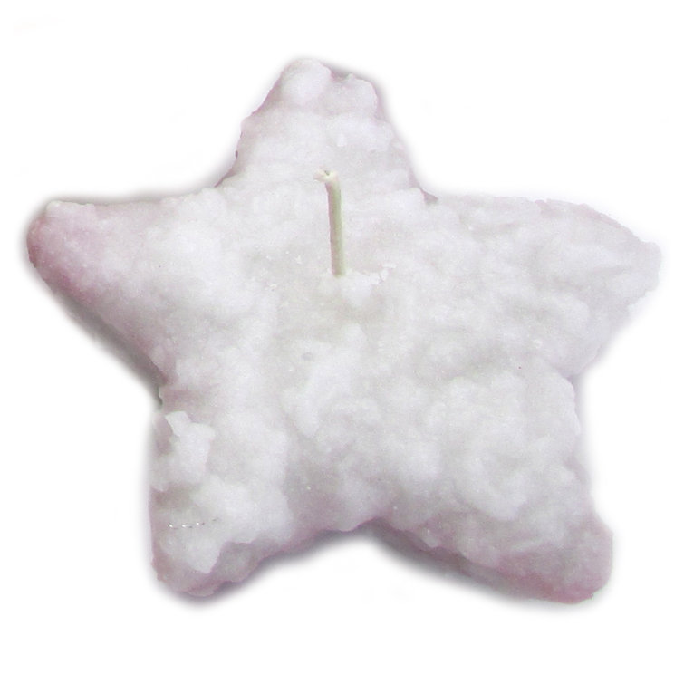 StarHollowCandleCo Frosted Cranberry Scented Floating Candle & Reviews ...