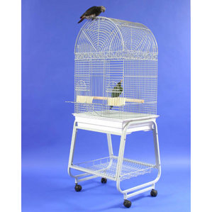 Cockatoo Bird Cages You'll Love | Wayfair.ca
