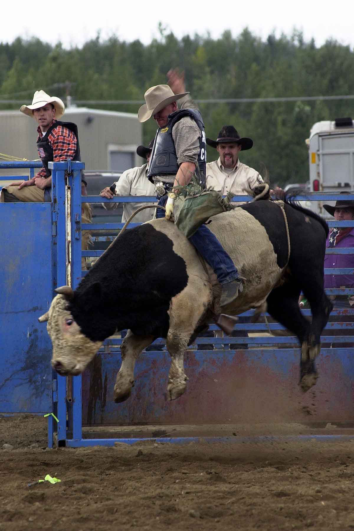Ebern Designs Rodeo Wall Decal | Wayfair