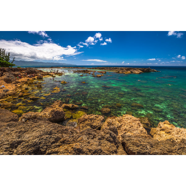 House of Hampton Pupukea Sharks Cove, Hawaii | Wayfair.co.uk
