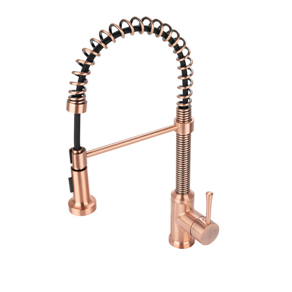 FontainebyItalia Spring Coil Flat Spray Head Pull Down Single Handle ...