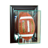 Perfect Cases And Frames 14'' x 5'' Glass Racing Display Case | Wayfair