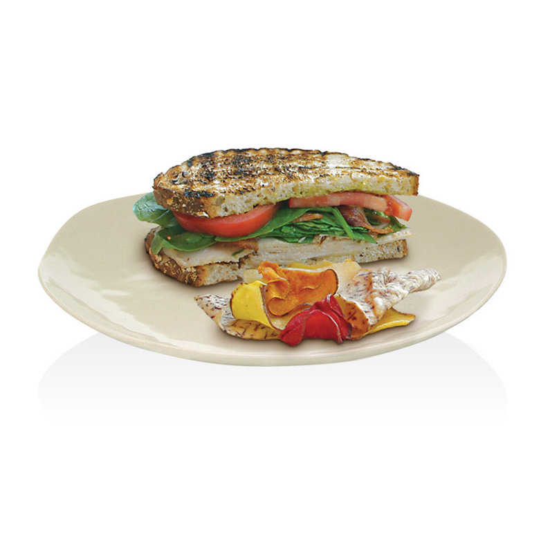 Front Of The House Platewise 10.5 Organic Dinner Plate & Reviews | Wayfair