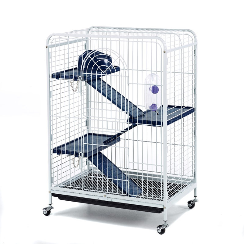 Archie & Oscar Kellie Cage with Ramp & Reviews | Wayfair.co.uk