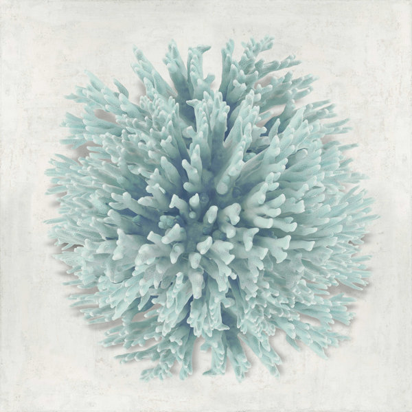 Bay Isle Home Coral Mint I by - Wrapped Canvas Print | Wayfair