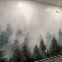 Loon Peak® Treiber Peel & Stick Wallpaper - Wayfair Canada