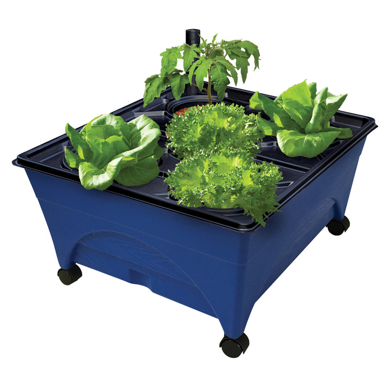 EMSCO Group Grow Box Hydroponic Unit | Wayfair.ca