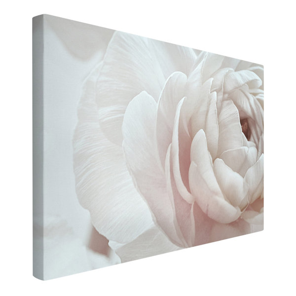 Canora Grey White Flower In A Sea Of Flowers by - Wrapped Canvas ...