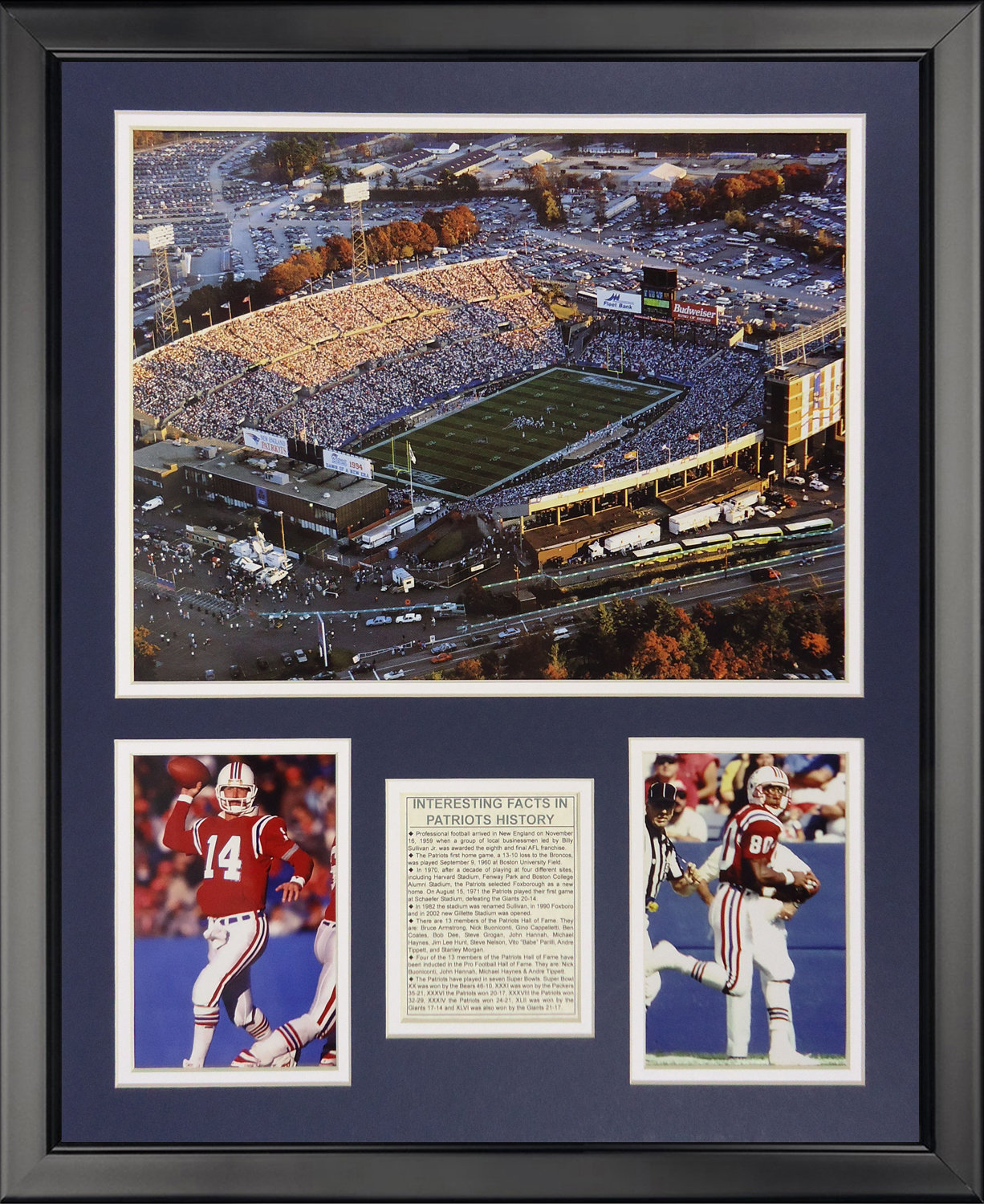 Legends Never Die NFL Picture Frame Memorabilia | Wayfair