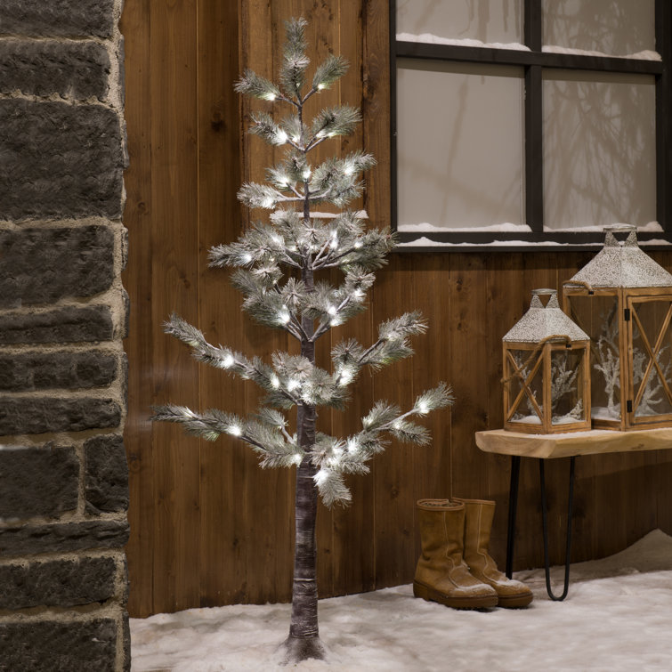 The Seasonal Aisle LED Indoor / Outdoor Lighted Trees & Branches ...