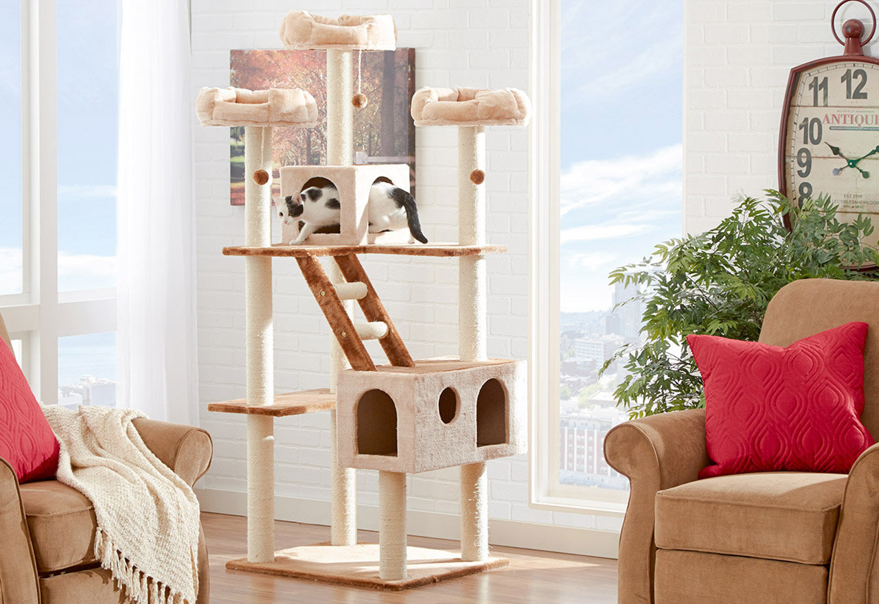 [BIG SALE] Cat Tree Clearance You’ll Love In 2022 | Wayfair