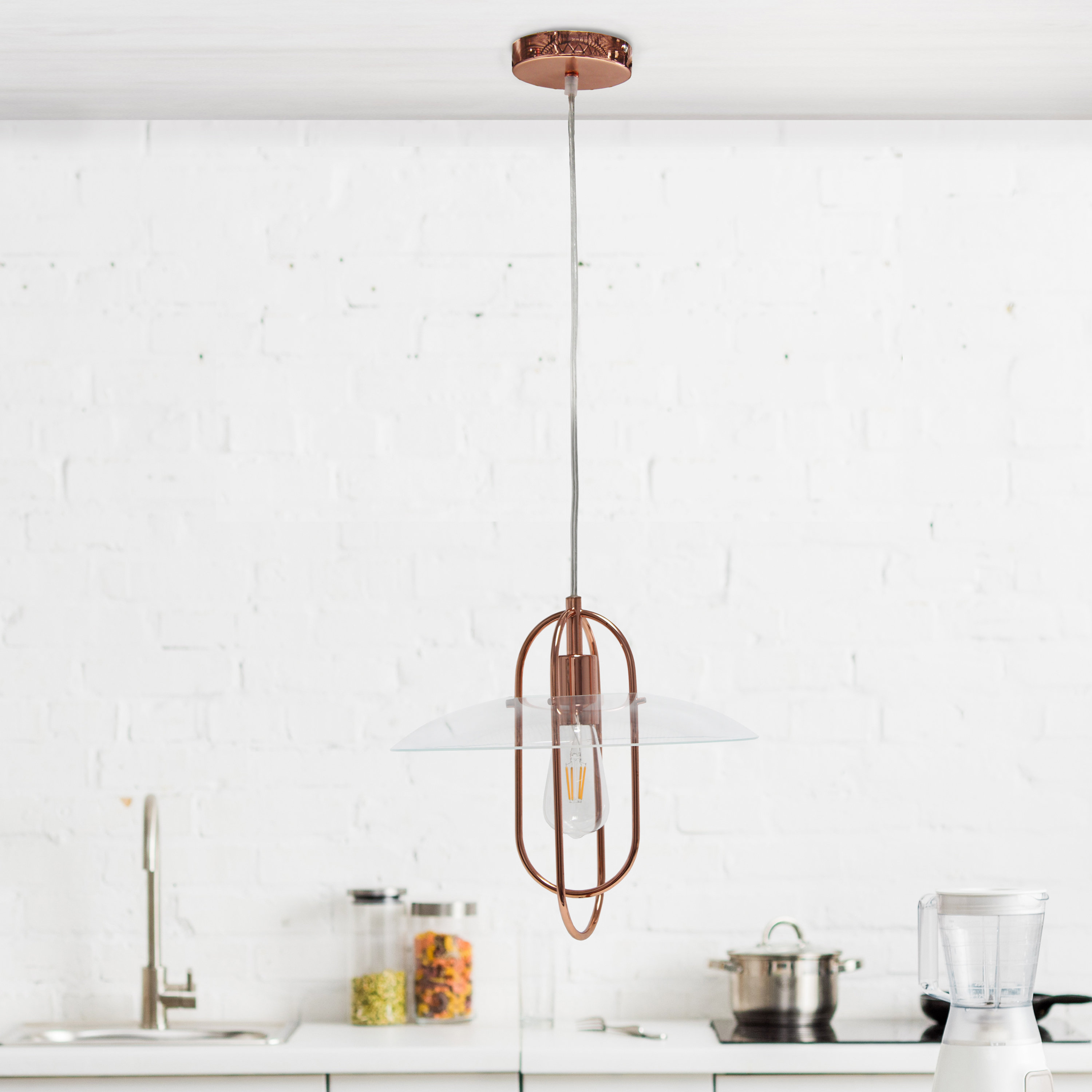 Everly Quinn Simple Designs 1 Light Modern Metal Pendant Light, Rose ...