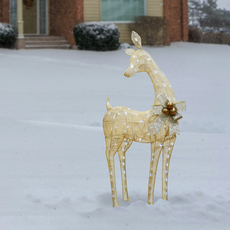 The Holiday Aisle® Pre-Lit Glittered Doe Lighted Display & Reviews ...