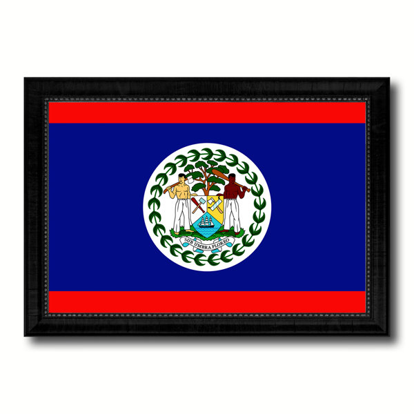 SpotColorArt Belize Country Flag - Picture Frame Print on Canvas | Wayfair