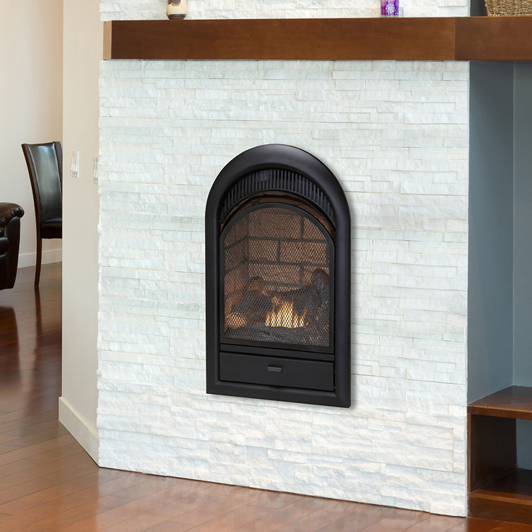 Propane Fireplace Inserts For Sale – Mriya.net