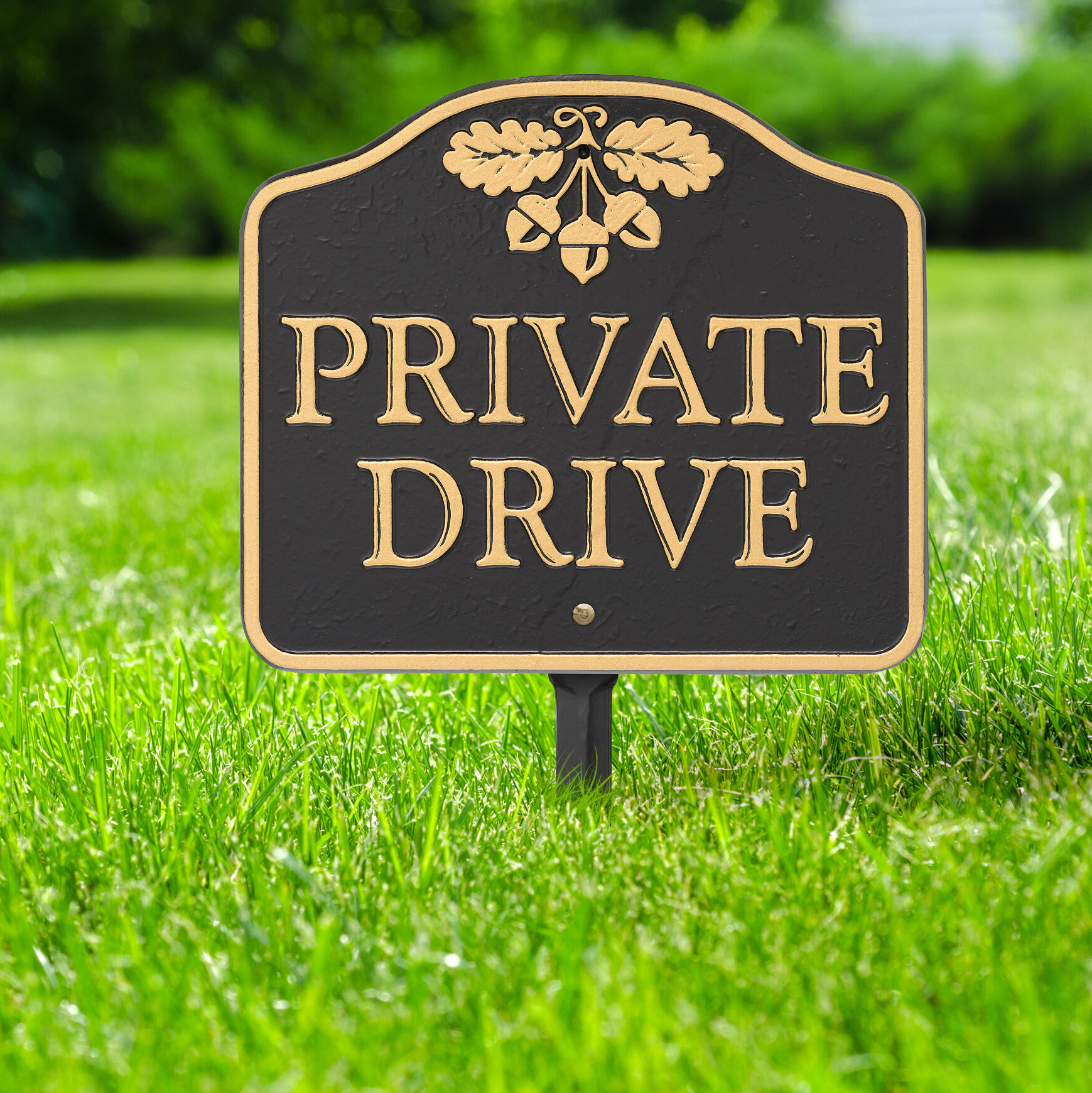 Whitehall Products Private Drive Sign Cast Aluminum - Wall or Lawn ...