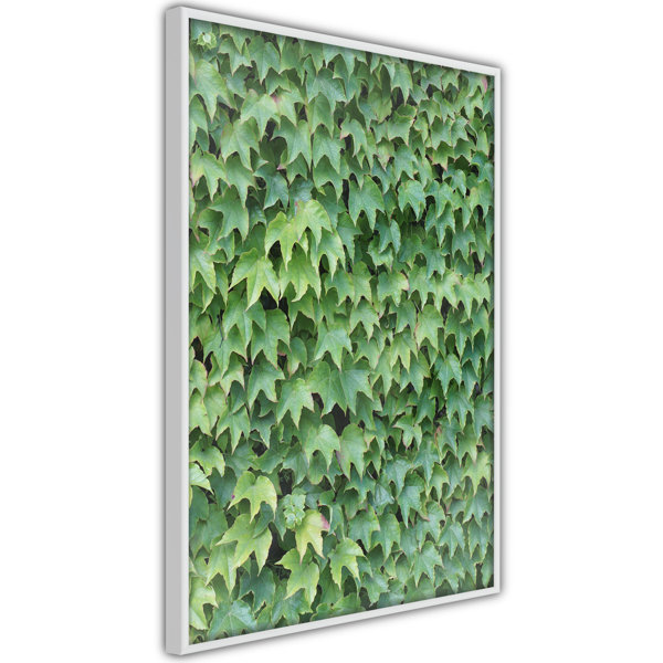 17 Stories Hidden - Picture Frame Photograph | Wayfair.co.uk
