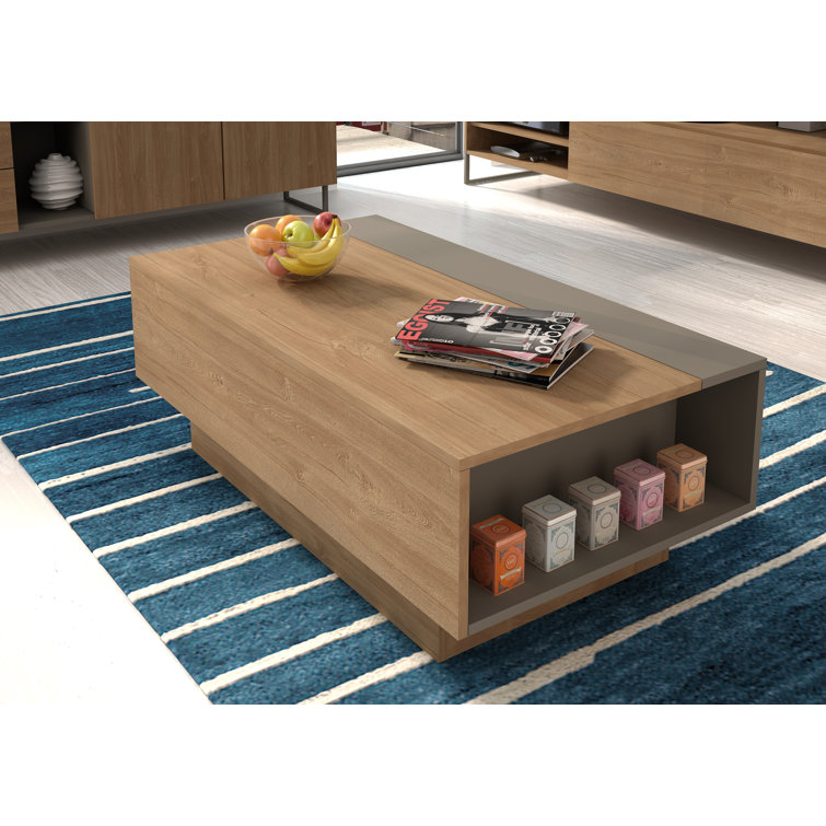 Ebern Designs Gillis Lift Top Pedestal Coffee Table with Storage ...