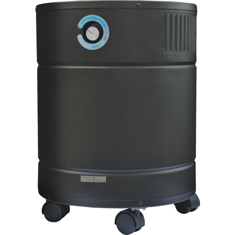 AllerAir AirMedic Room Medical Grade HEPA Air Purifier | Wayfair