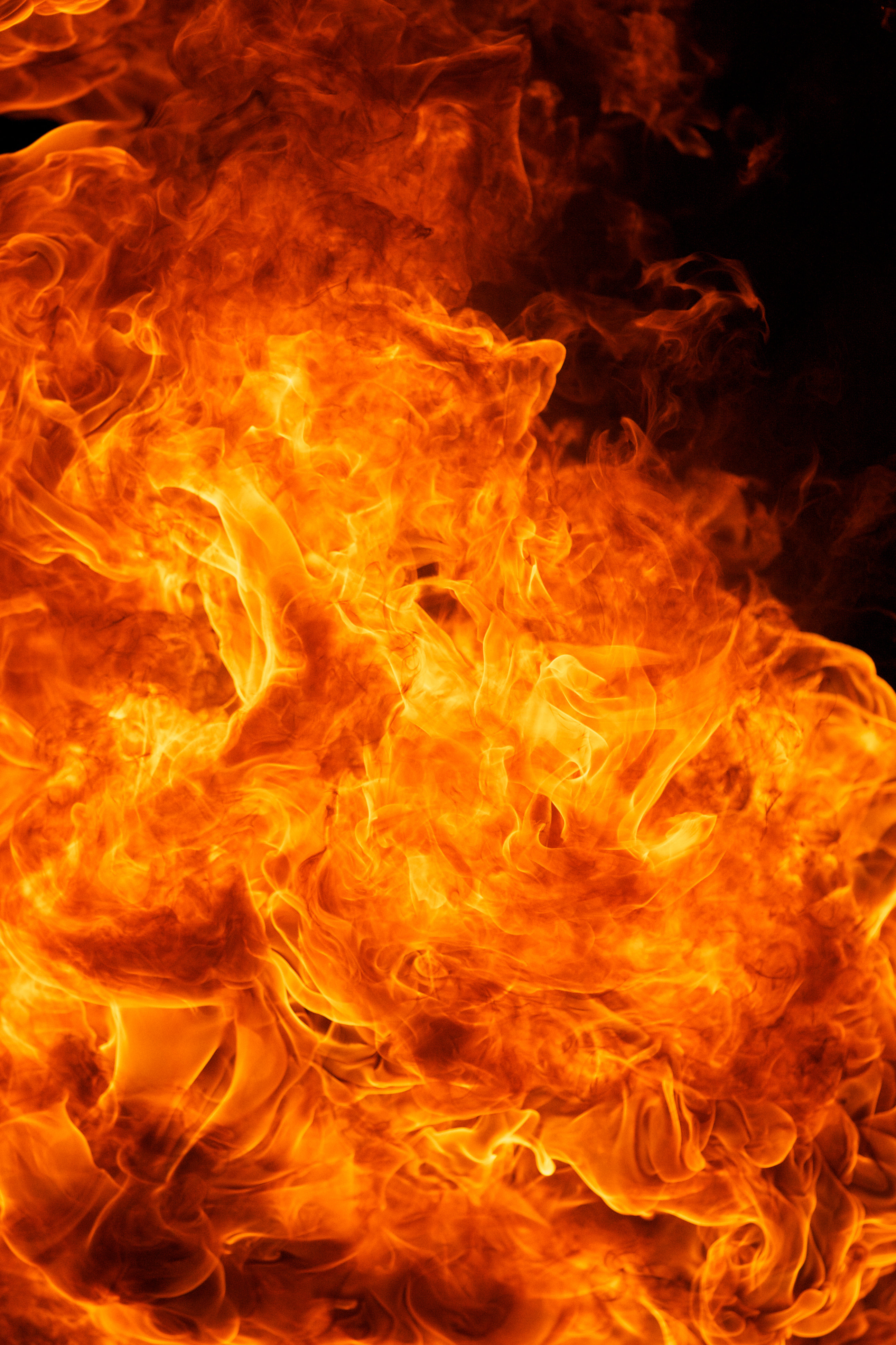 Ebern Designs Fire Flame - Wrapped Canvas Photograph | Wayfair