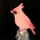 Hi-Line Gift Ltd. MOTION ACTIVATED SINGING CARDINAL STANDING ON STUMP ...