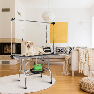 Wayfair | Dog Grooming Tables & Bath Tubs