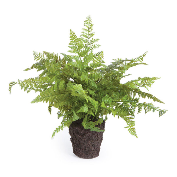 Charlton Home Drop-In Faux Soft Fern Plant & Reviews | Wayfair