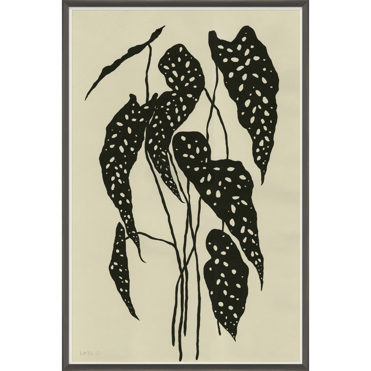 Soicher-Marin Susan Hable Begonia by Susan Hable | Perigold