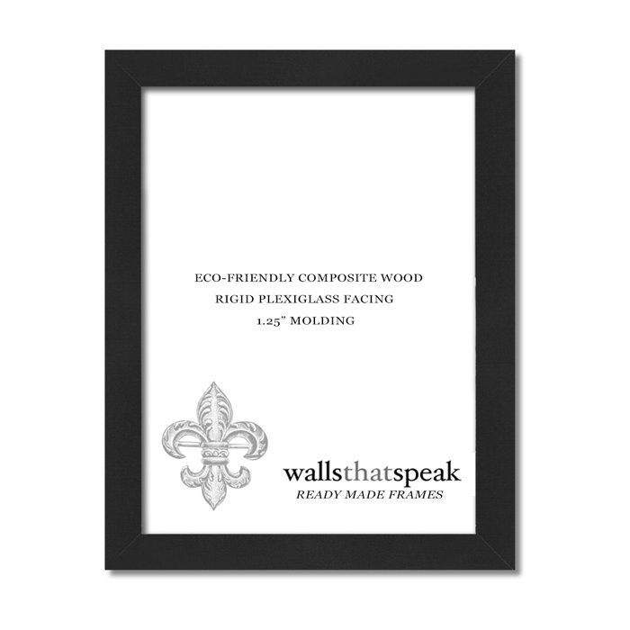 WallsThatSpeak Picture Frame & Reviews | Wayfair
