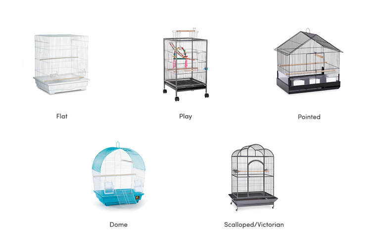 Bird Cage Buying Guide: How to Choose the Best Option | Wayfair