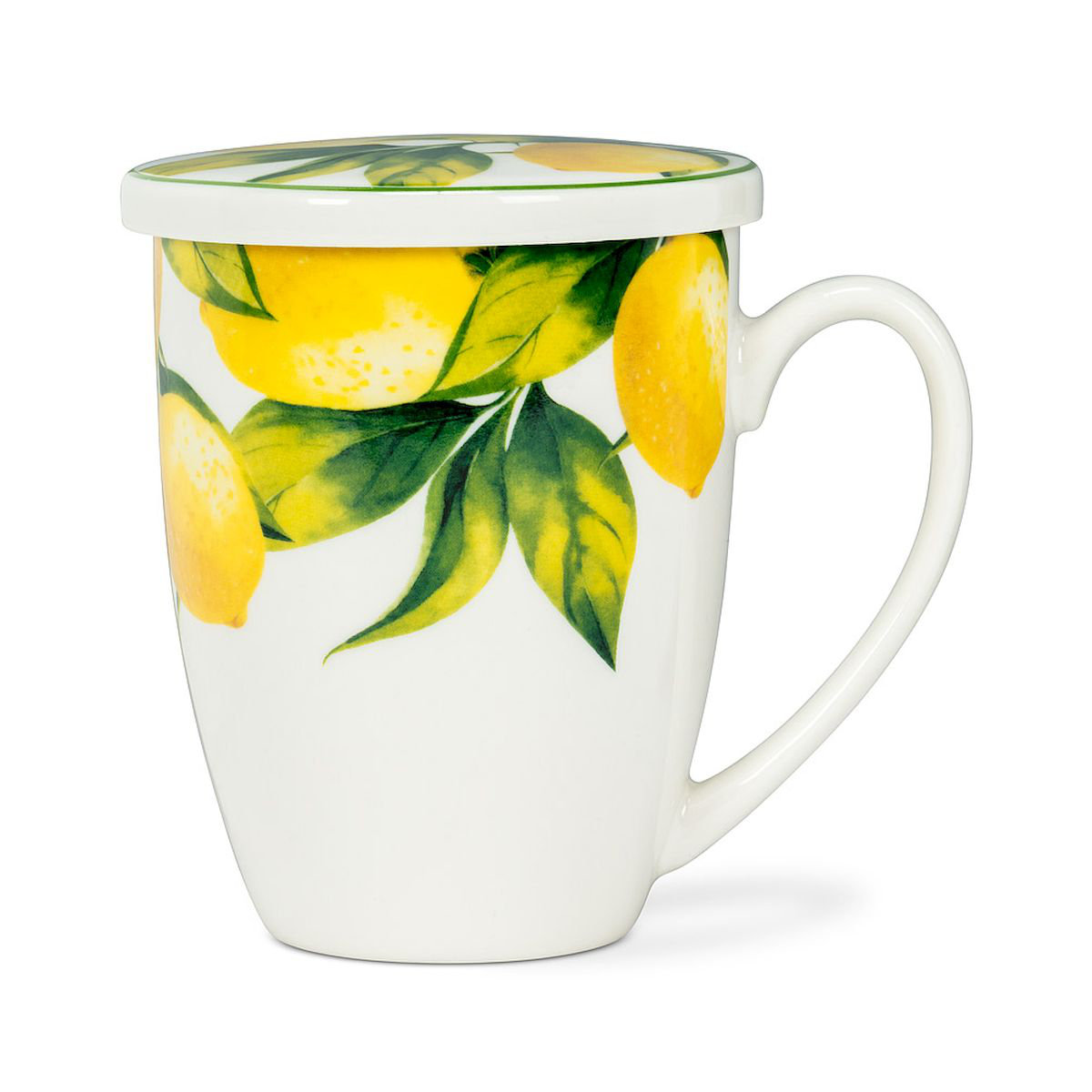 Bayou Breeze Cabezas Lemon Tree Bone China Teacup | Wayfair