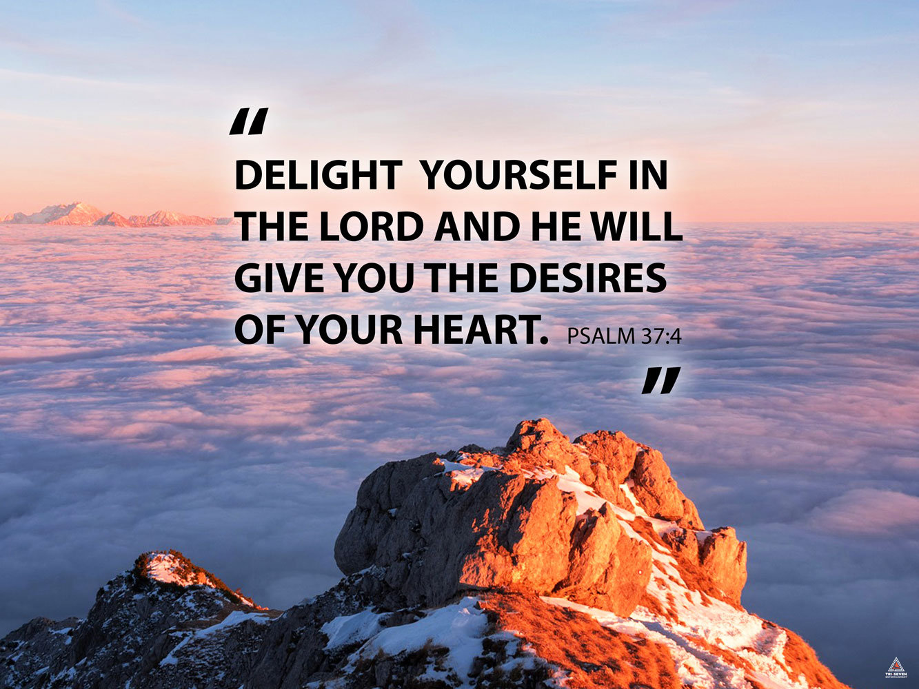 Tri-Seven Entertainment Psalm 37:4 Poster Delight Yourself In The Lord ...