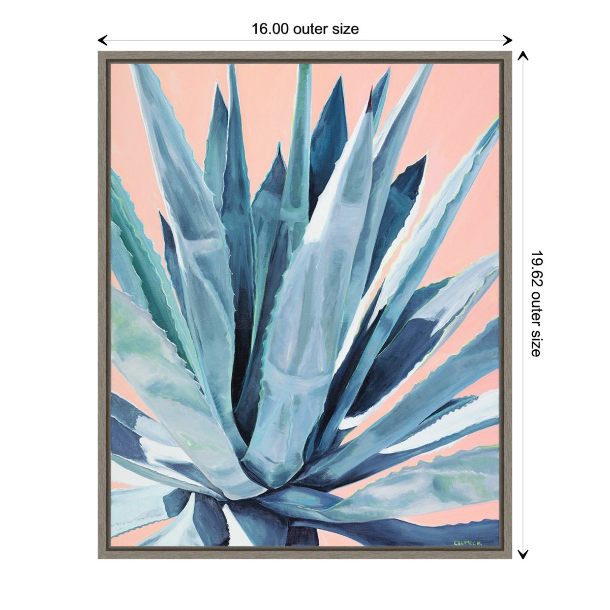 Dakota Fields Agave With Coral by Alana Clumeck - Floater Frame ...