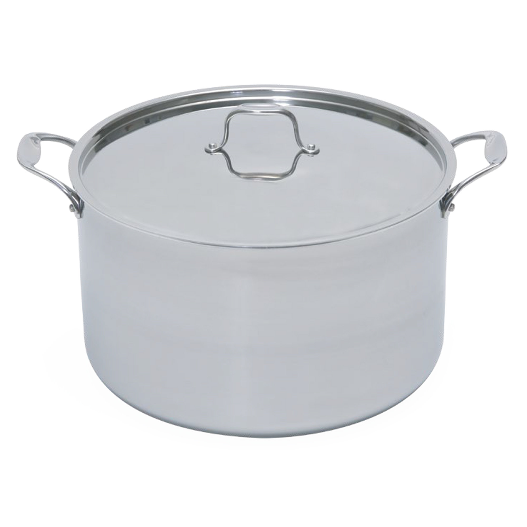 Camerons Stainless Steel Stock Pot with Lid & Reviews | Wayfair