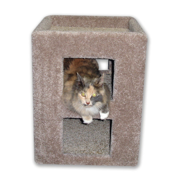Tucker Murphy Pet™ Irene 21" Fat Cat Kitty Cube Cat Condo & Reviews ...