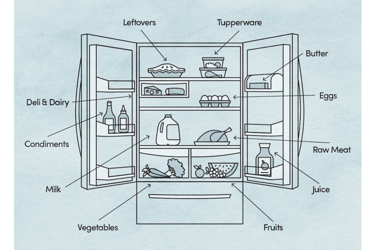 How to Organize a Fridge | Wayfair
