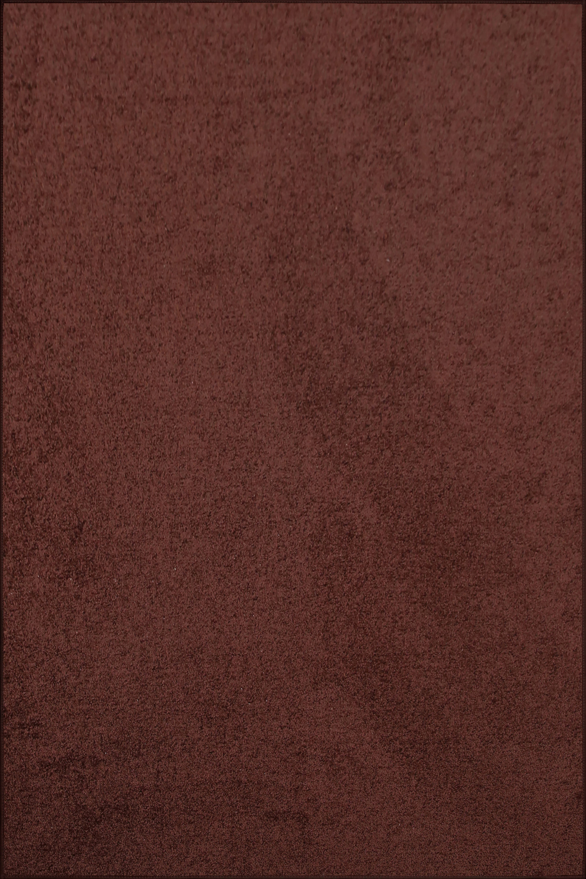 Latitude Run® Machine Woven Performance Chocolate Rug | Wayfair