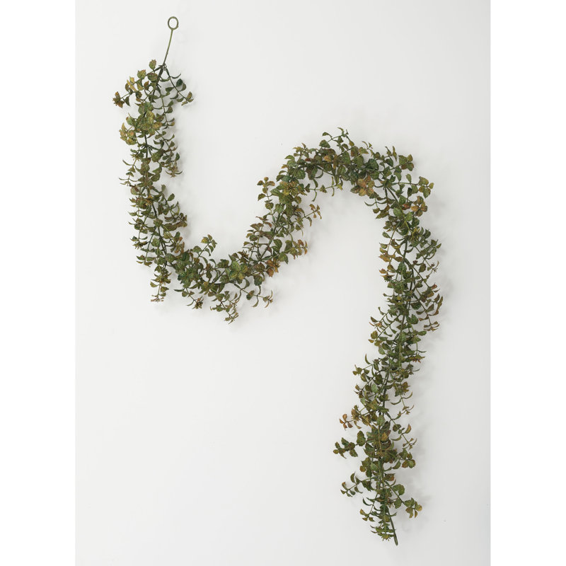 Gracie Oaks 6' Summer Fresh Boxwood Garland | Wayfair