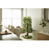 Cat Trees & Condos You'll Love in 2021 | Wayfair