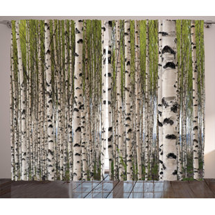 Birch Tree Curtains | Wayfair