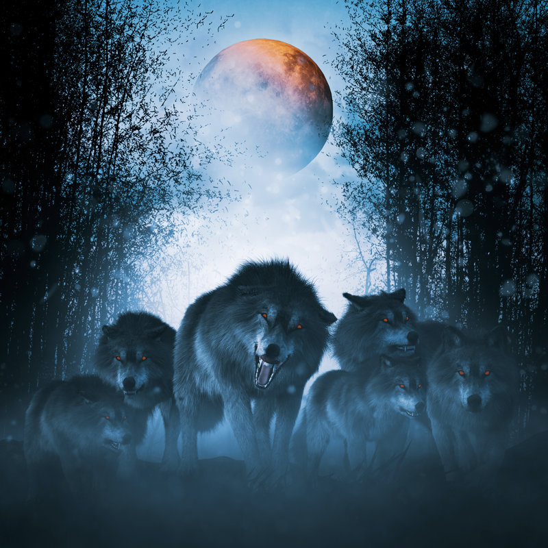 Millwood Pines Group of Ferocious Wolf by Chainatp - Wrapped Canvas ...