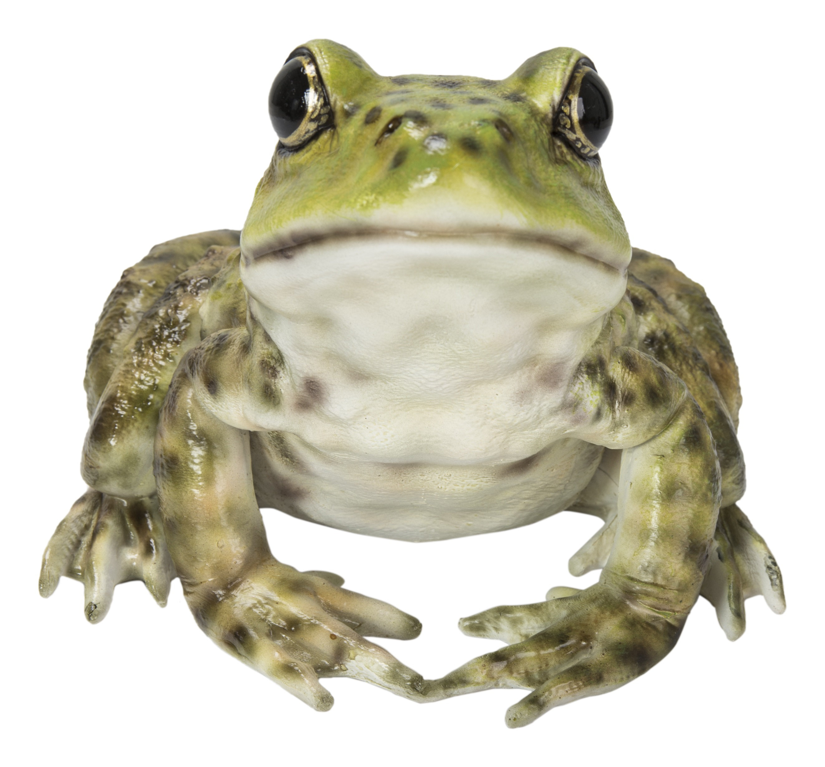 Hi-Line Gift Ltd. American Bullfrog | Wayfair