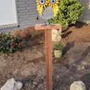 SunsetVistaDesignsCo. Owl Lawn Art & Reviews | Wayfair