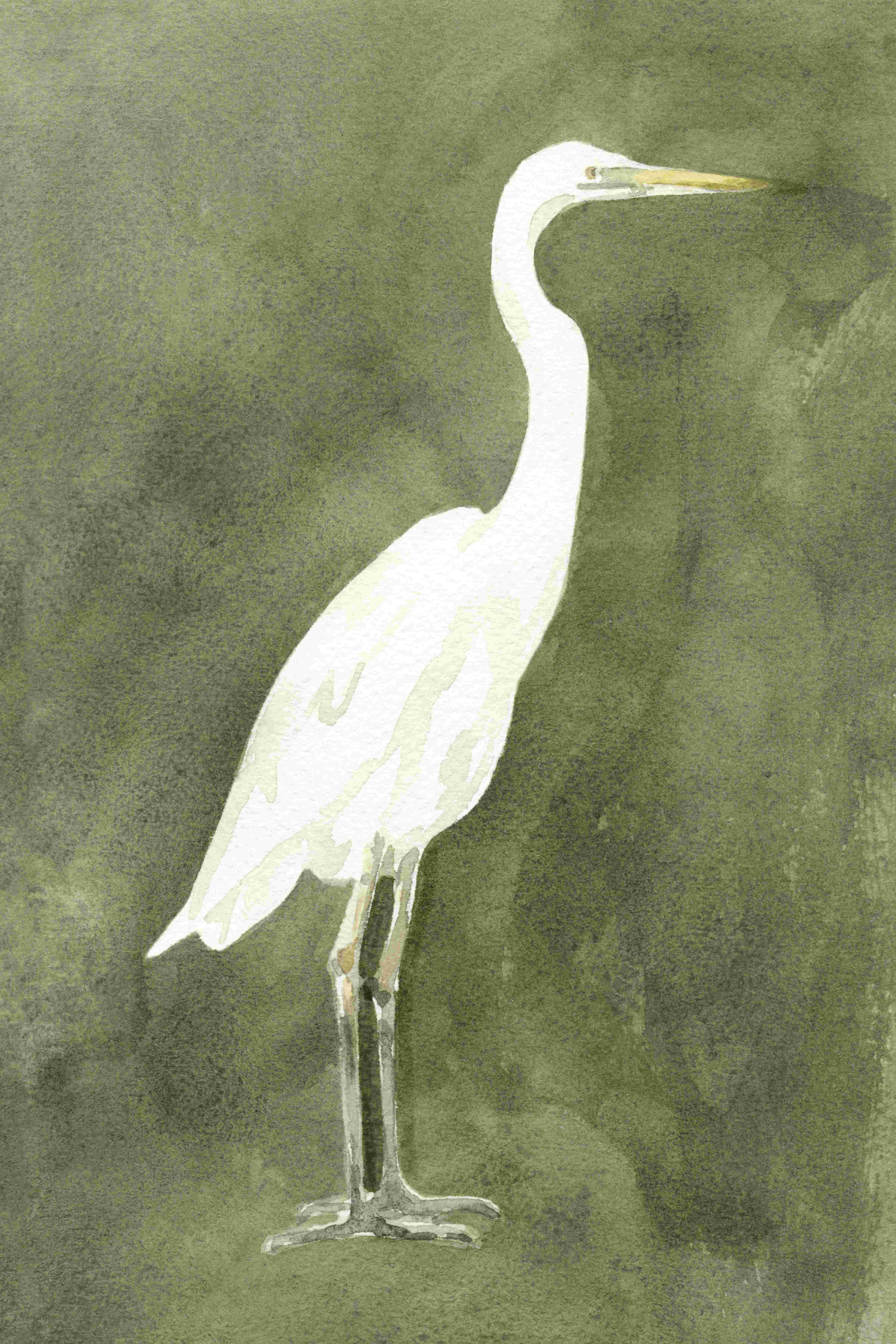 Highland Dunes Emerald Heron III by Emma Caroline - Wrapped Canvas ...