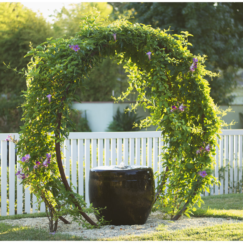 TerraTrellis Gracie Modern Steel Arbor & Reviews | Wayfair