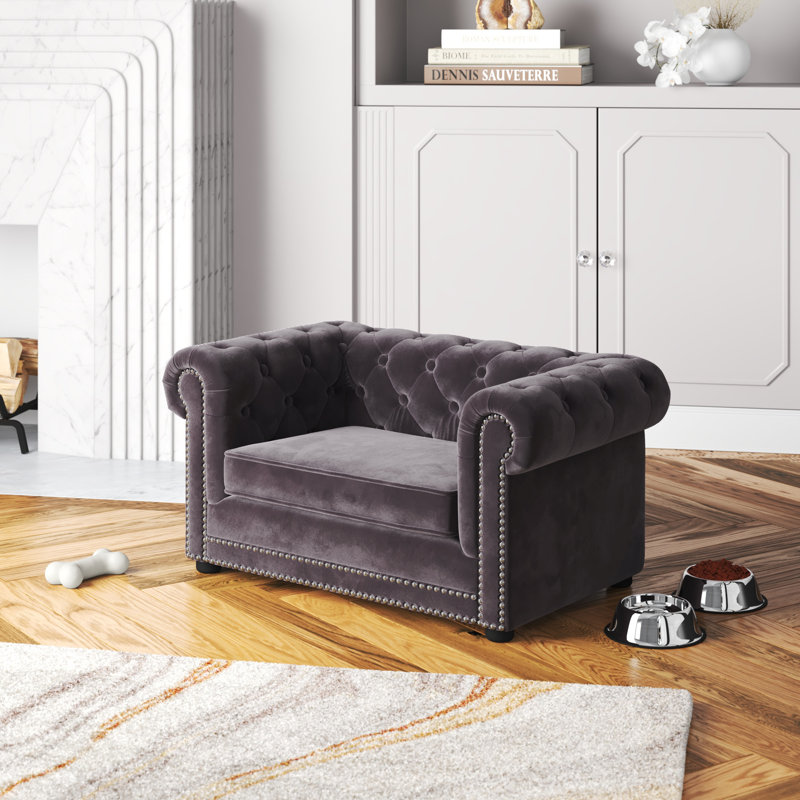 Etta Avenue™ Bria Dog Sofa & Reviews | Wayfair