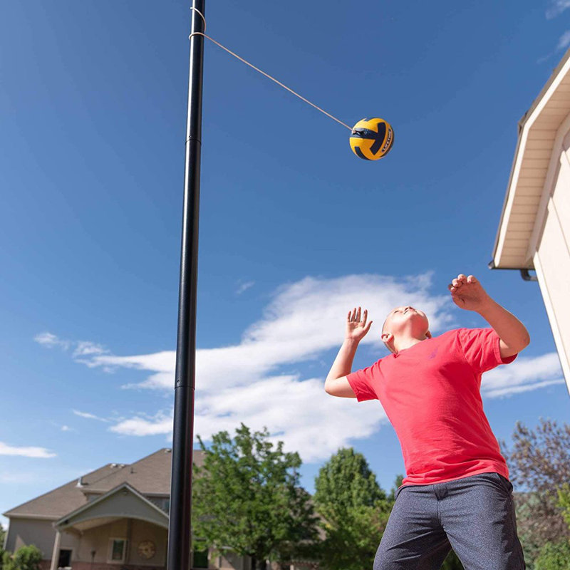 Lifetime Steel, High-Density Polyethylene Tetherball Game & Reviews ...