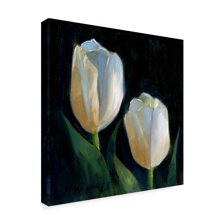 Trademark Art Hall Groat Ii White Tulips Black by Hall Groat Ii ...